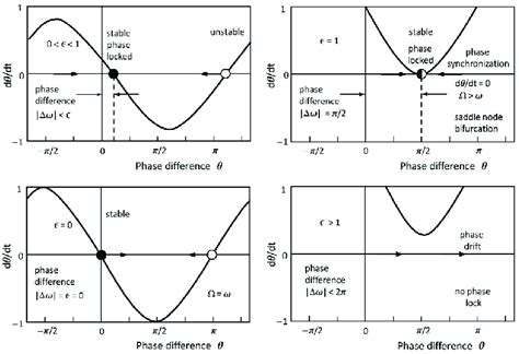 phase response curve dq dt vs q for a nonuniform oscillator