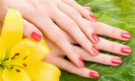 Cuidados para ter unhas saudáveis nilaraleon