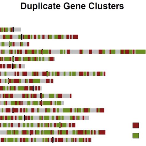 D Genome Domainogram Showing The Locations Of Gene Duplicate Clusters