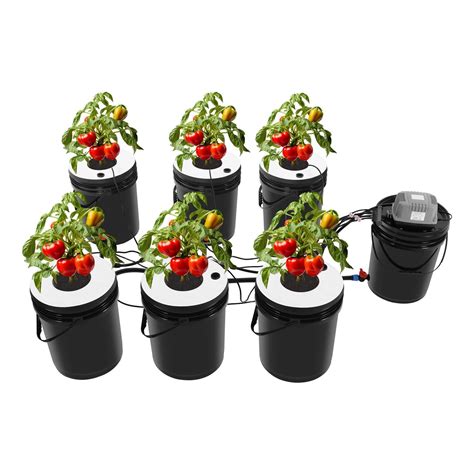 Hydroponics Growing System Kit Rdwc Top Feed Drip Hydroponics Systems
