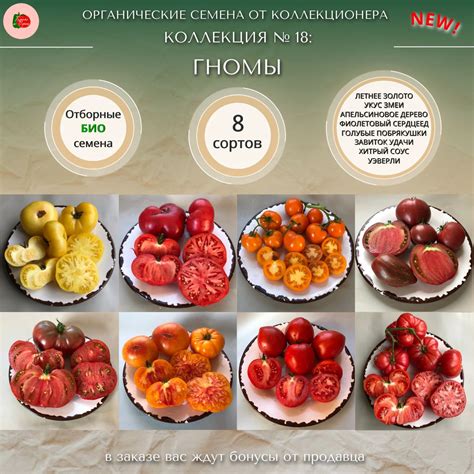 Томаты Гномы купить на OZON по низкой цене