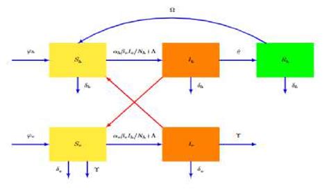Dengue Sir Si Model Flowchart Download Scientific Diagram