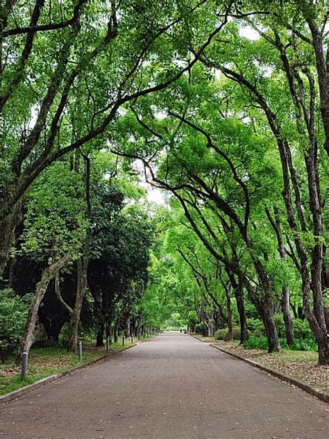 京都府立植物園 日本で最初の公立植物園 泊まりたいアジア