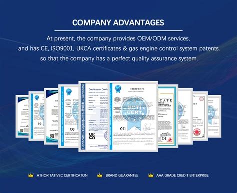 Small Wood Biomass Gasifier Generator For Household Power