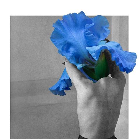 Revamp Design Studio