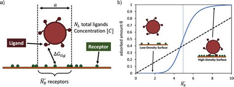 A Schematic Of A Multivalent Particle Interacting With A