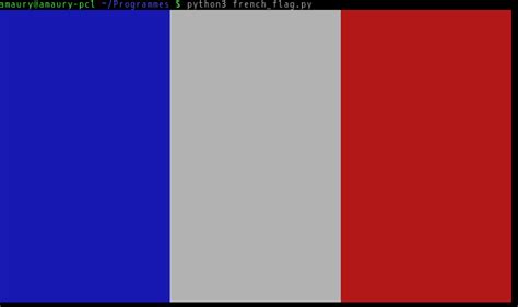 Code Golf Draw The National Flag Of France Programming Puzzles