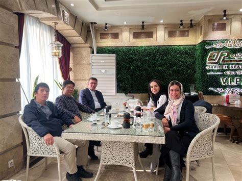 sheyda hasanzadeh on linkedin farewell mr zhong guidong project