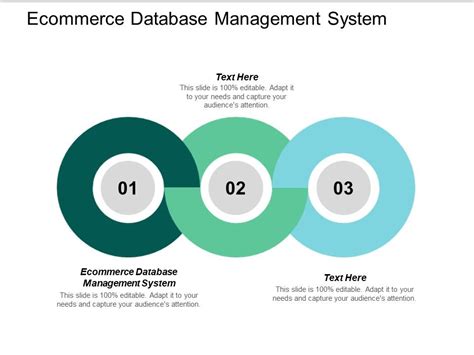 Ecommerce Database Management System Ppt Powerpoint Presentation