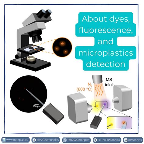 Monplas On Linkedin Microplastic Microscopy Monplas Microplastics