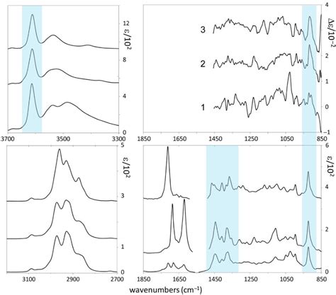 Figure 3 From The Assignment Of The Absolute Configuration Of Non Cyclic Sesquiterpenes By