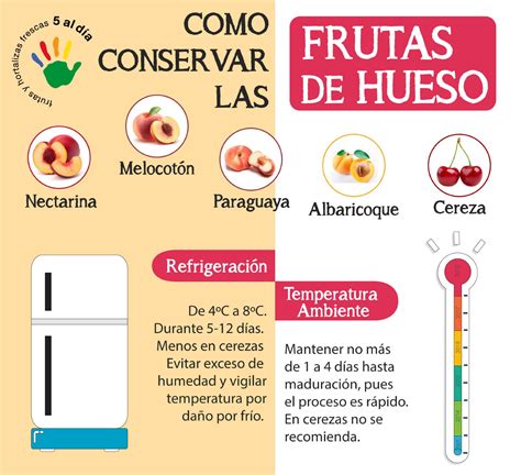 ConservaciÓn De Frutas Y Hortalizas