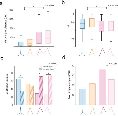 Functional Interactions Among Neurons Within Single Columns Of Macaque