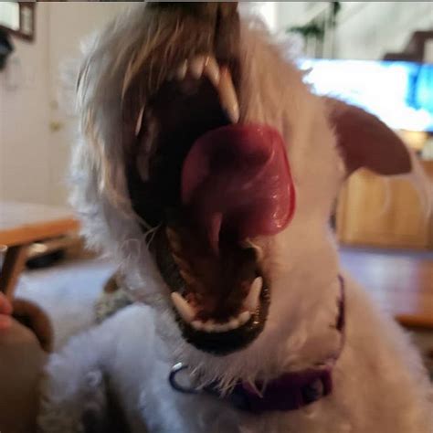 Erin Stenberg Youtube