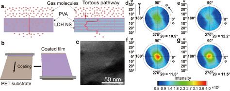 Figure 2 From Aspect Ratio Control Of Layered Double Hydroxide Nanosheets And Their Application