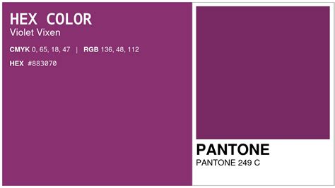 Hex 883070 To Pms Code Pantone 249 C Conversion Chart Pms Solid Coated