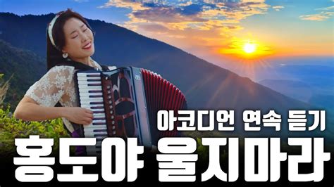 홍도야 울지마라 10시간 연속듣기 아코디언 주연 Youtube