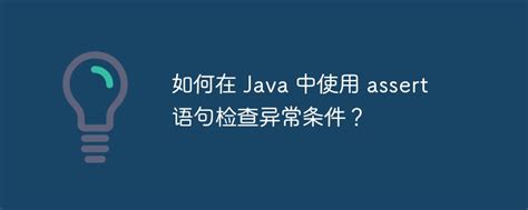 如何在 java 中使用 assert 语句检查异常条件？ 美云