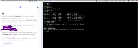 Fonts Getting Weird While Using Web Terminals · Issue 24333 · Brave