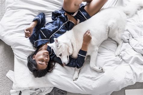 Getting A More Restful Nights Sleep These Things Could Help Broke