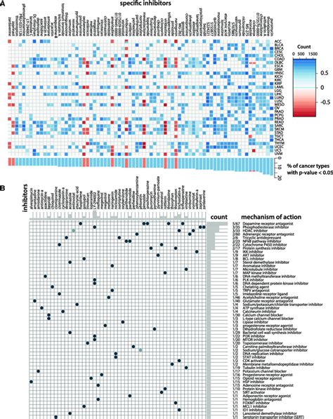 Correlation Of Cancer Stemness With Drug Resistance Connectivity Map Download Scientific