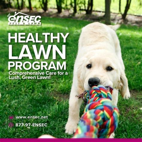 Ensec Pest And Lawn On Linkedin Lawncare Healthylawn Ensecpestandlawn