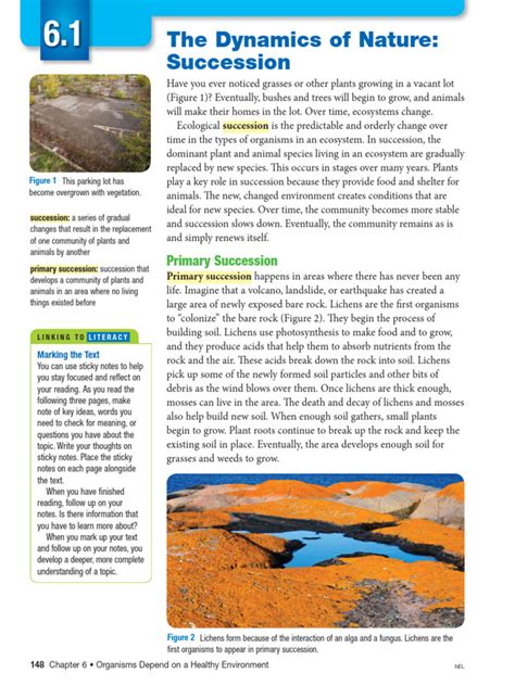 Yeuk Huen Ng Lesson 6 1 Pdf Plants Trees