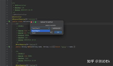 一篇文章看懂 Apipost IDEA插件怎么用 知乎