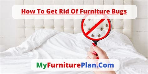 How To Get Rid Of Furniture Bugs