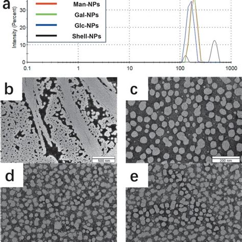 Characterization Of Self‐assembly Nanoparticles A Size Distribution