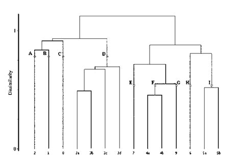 dendrogram of the numerical classifi cation of the plant communities of