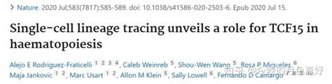Single Cell Lineage Tracing Unveils A Role For Tcf15 In Haematopoiesis 知乎