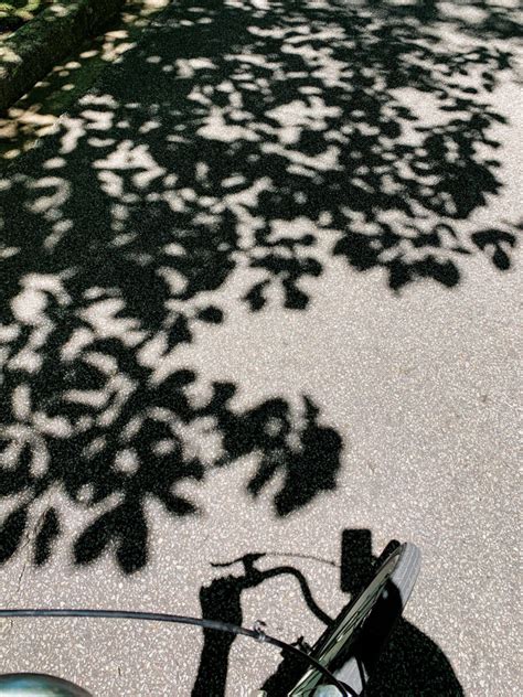 Links Small Things The Small Things Blog