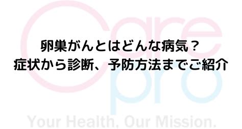 卵巣がんとはどんな病気？症状から診断、予防方法までご紹介 ケアプロ株式会社