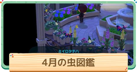 【あつ森】4月の虫一覧 値段と出現時間・場所【あつまれどうぶつの森】 ゲームウィズ