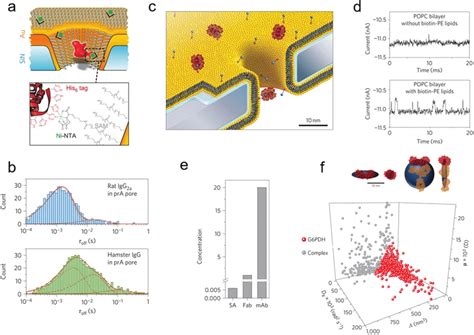 Surface Modification Of Solid State Nanopores A Schematic Download Scientific Diagram