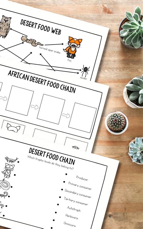 Desert Food Chain Printable