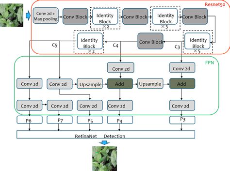 Structure Of Retinanet Network Download Scientific Diagram