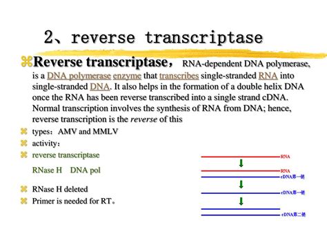 Ppt Gene Engineering And Gene Expression In Vitro Powerpoint Presentation Id4586040
