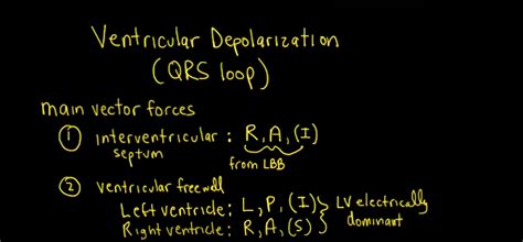 Topic The Qrs Vectors 12 Lead Ecg Course Acls Certification