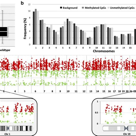 Differential Methylation Analyses A Box Plots Indicate The Methylation Download Scientific