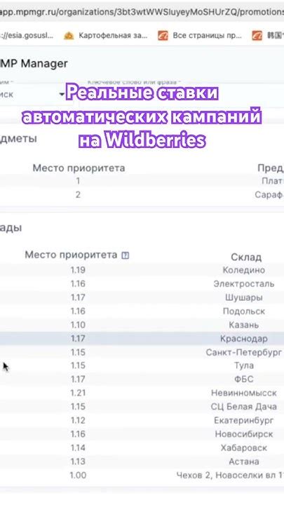 Реальные ставки автоматических кампаний на Wildberries Youtube