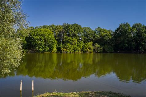 Берег лесного озера 2 га Земельные участки в Краснодарском крае Пряные земли