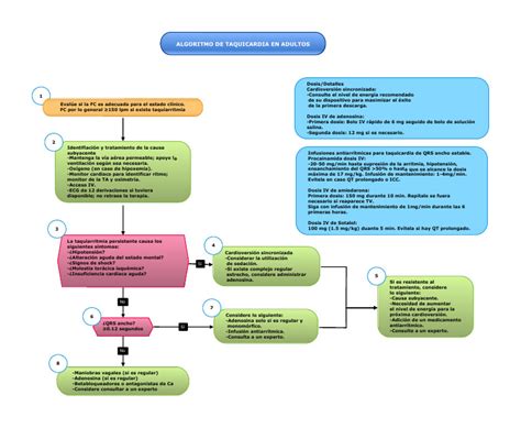 Algoritmo Taquicardia En Adultos Pdf Drogas Causas De La Muerte