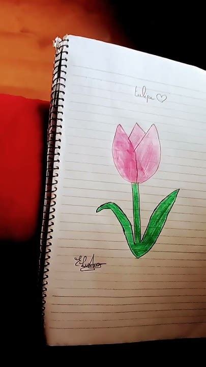 رسمت وردةتوليب Youtube Shorts Youtube