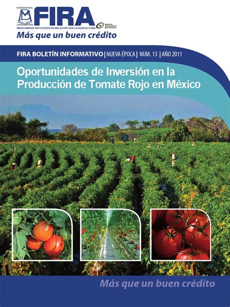 013 Oportunidades De Inversión En La Producción De Tomate Rojo En