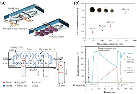 Latest Trends In Biosensing For Microphysiological Organs On A Chip And Body On A Chip Systems Pmc