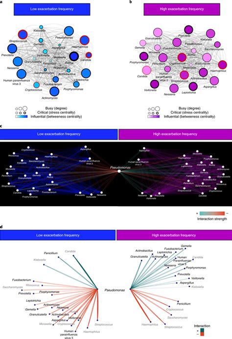 Network Characterization Of Busy Critical And Influential Microbes