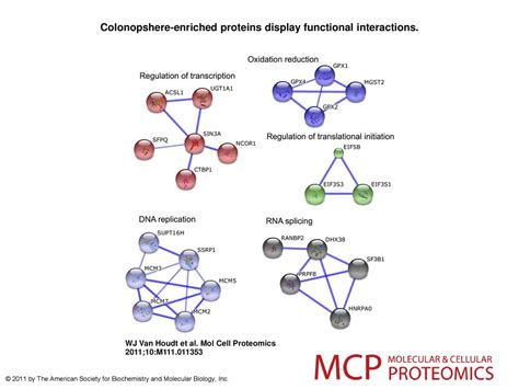Colonopshere Enriched Proteins Display Functional Interactions Ppt