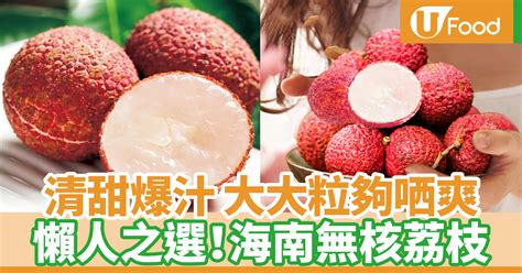 【荔枝品種】香港都買到！海南無核荔枝 大大粒清甜多汁 無須吐核 U Food